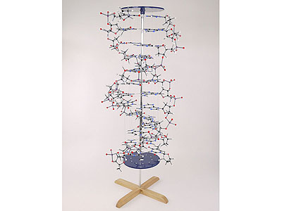 Stand for Orbit Proview DNA Model